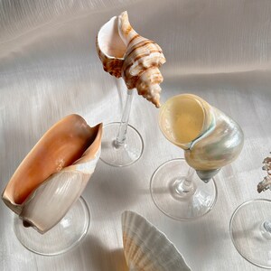 Custom Name Seashell Wine Glasses, Wedding Bridesmaids Gift,beach Shell ...