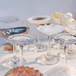 Customized Seashell Wine Glasses, Goblet Cocktail Coupe Glasses, Beach ...