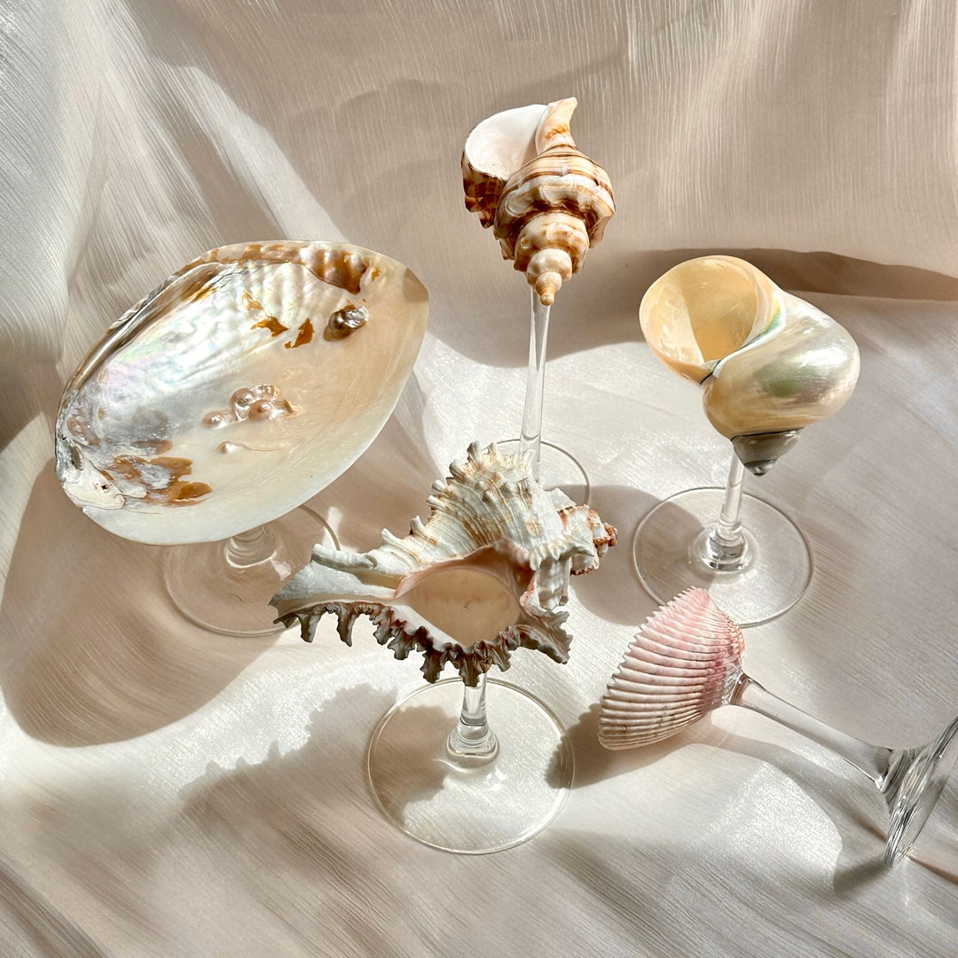 Customized Drink Seashell Wine Glasses, Beach Goblet Cocktail Coupe ...