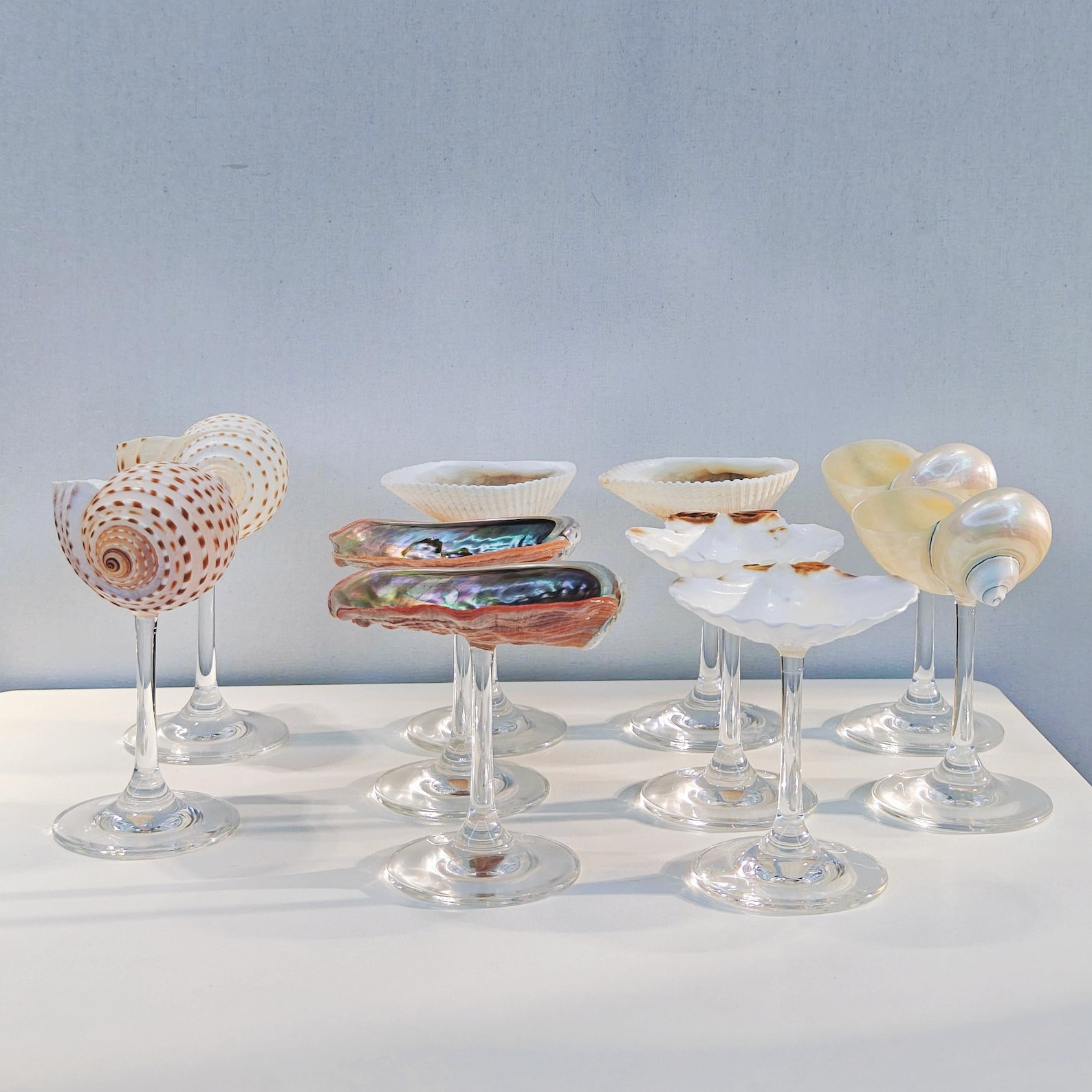 Customized Seashell Wine Glasses, Goblet Cocktail Coupe Glasses, Beach ...