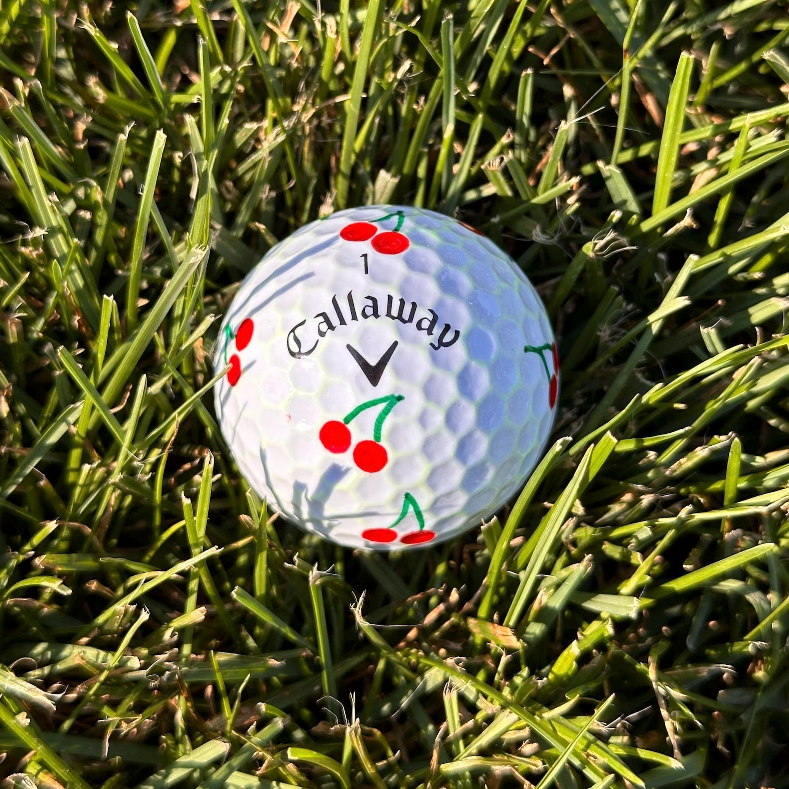 Hand Painted/drawn Fruit Themed Golf Ball Set-golf Gift for Golfers ...