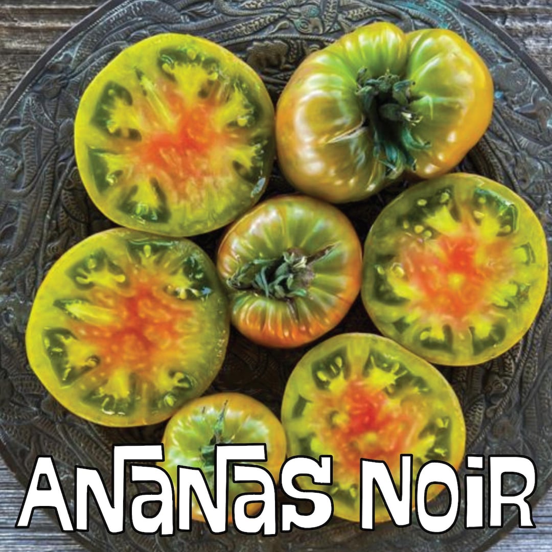 Ananas Noire Tomato Plant Seedling, Grown From Vegetable Seeds, Easy to ...