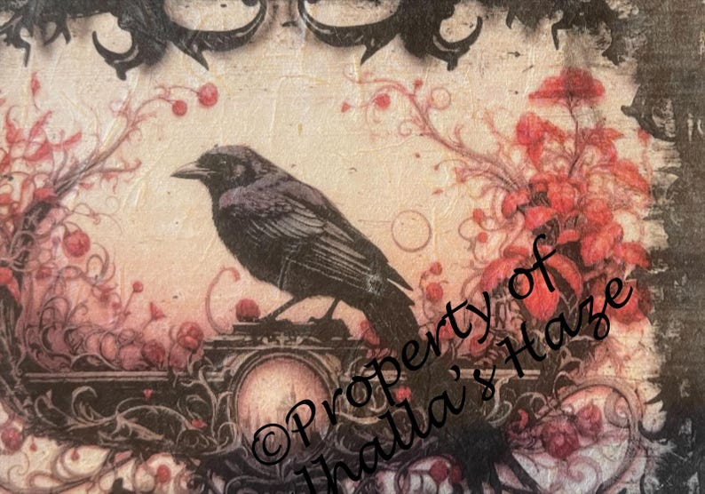 Goth Images Dark Woman and Raven. Decoupage Image Decorative Rice Paper ...