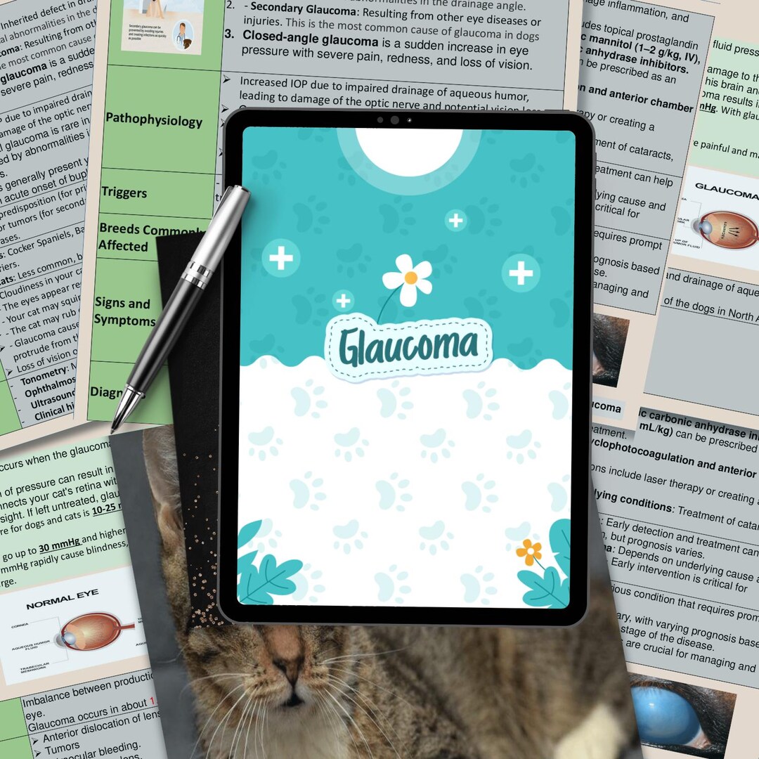 Veterinary Glaucoma Notes Vet Tech Notes Vet Med Student Veterinary ...