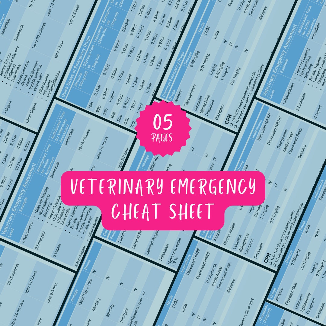 Veterinary Emergency Cheat Sheet Nurse Study Guide Vet Nursing Notes ...