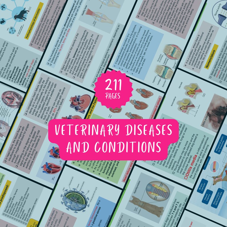 Veterinary Diseases and Conditions Notes Nurse Study Guide Vet Nursing ...