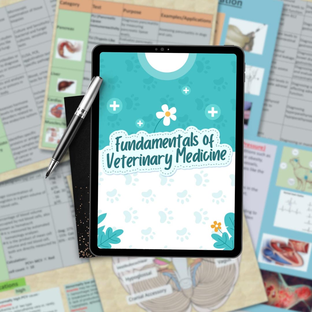 Fundamentals of Veterinary Medicine Nurse Study Guide Vet Nursing Notes ...