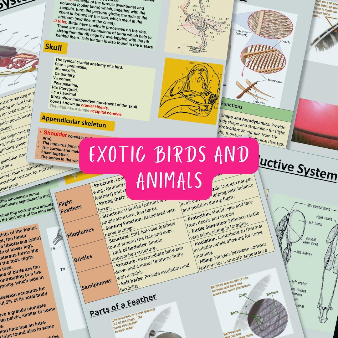 70 Veterinary Exotic Birds and Animals Notes Nurse Study Guide Vet ...