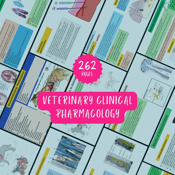 Vet Clinical Notebook - Etsy