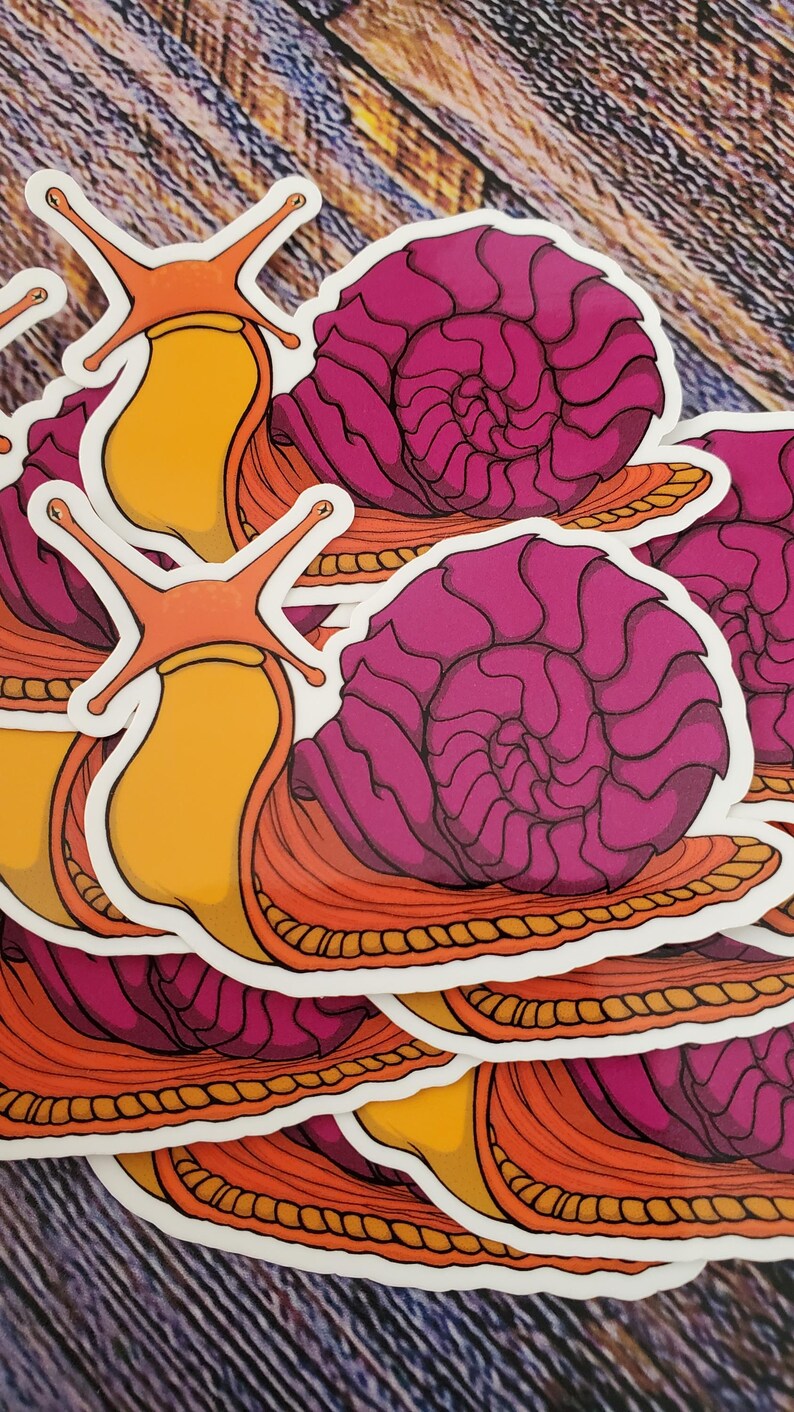 Armor Shell Snail- 3 Inch STICKER - Etsy