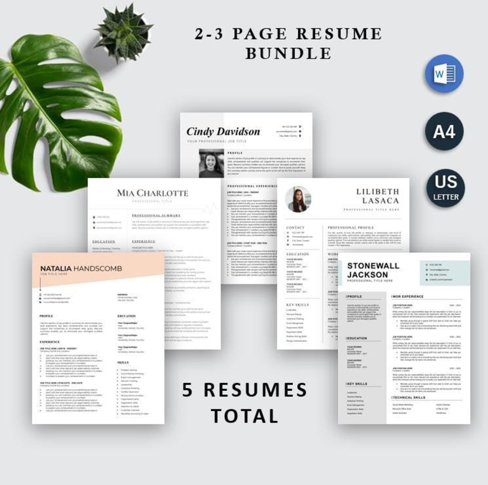 Professional Resume Bundle, 5 Modern Resume Word Templates ...