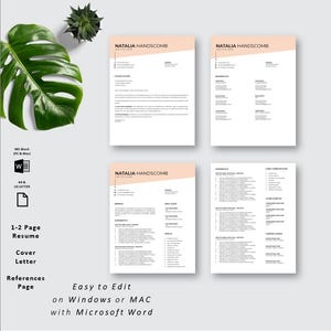 Clean Resume Template 164, Modern Resume Template Word, ATS Friendly ...