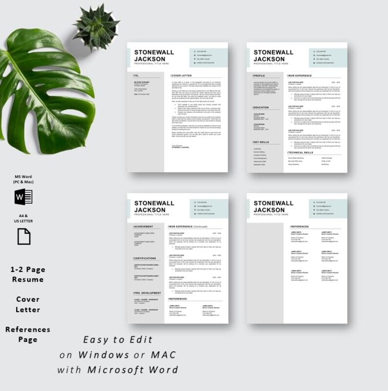 Polished Resume Template 252, Modern Resume Template Word, Professional ...