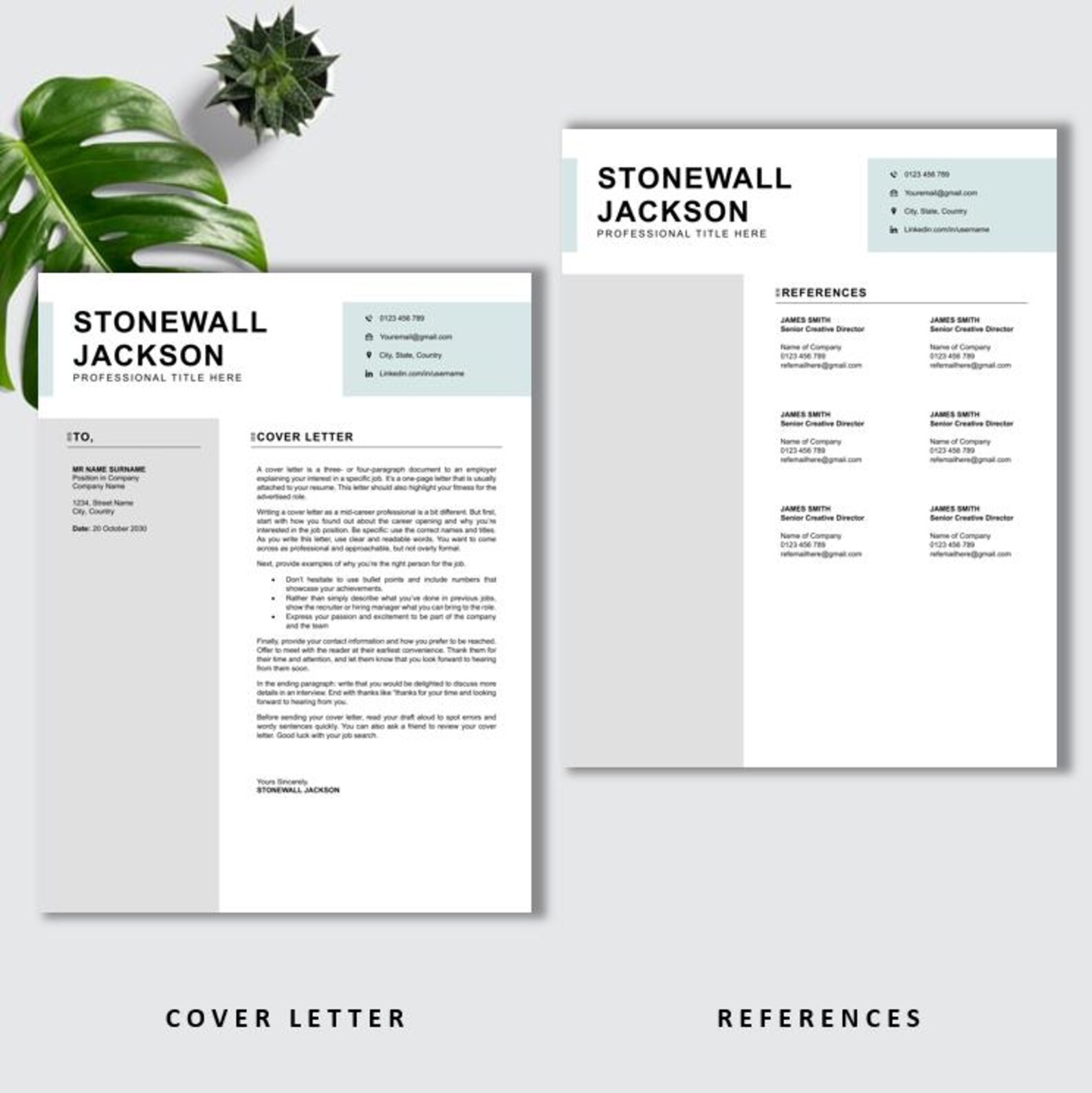 Polished Resume Template 252, Modern Resume Template Word, Professional ...