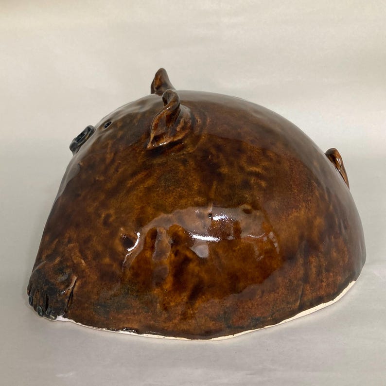Ceramic Hideout, Axolotl Hide, Reptile Hide Ceramic, Axolotl Hideout ...