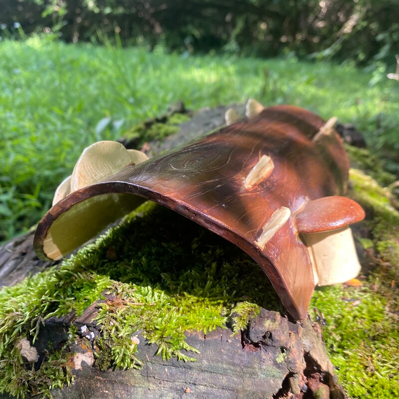 Small Animal House - Etsy