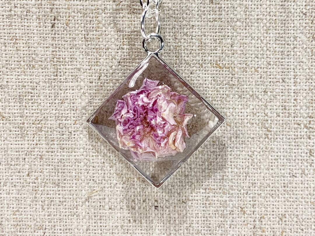Live Edge Baby Austin Rose Bloom 18 Silver Chain Necklace Real Dried ...
