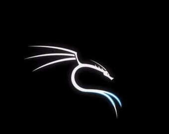 Kali Linux Bootable USB Operating System for Pentesting/hacking. - Etsy