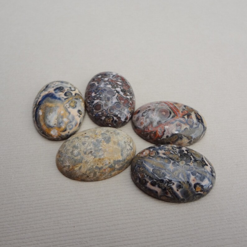 25x18mm Leopard Skin Agate Flat Back Smooth Top Mineral Cab 1pc - Etsy