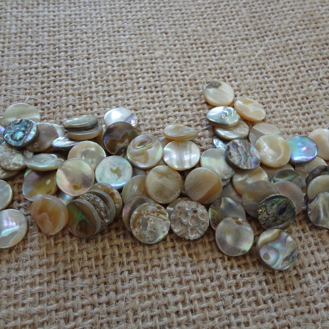 9mm Abalone Round Natural Shell Flat Stone Disks/cabs * Varied Colors ...