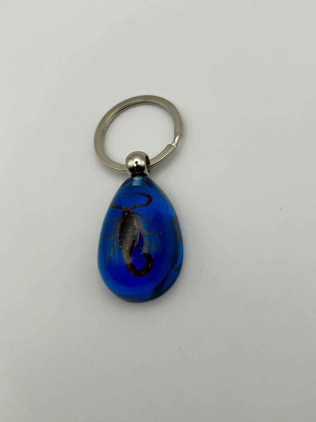 Real Scorpion Keychain Blue Background - Etsy