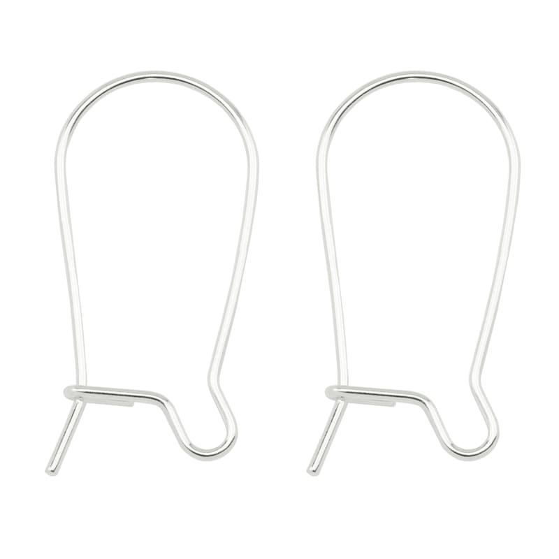 Kidney Ear Wires - Etsy