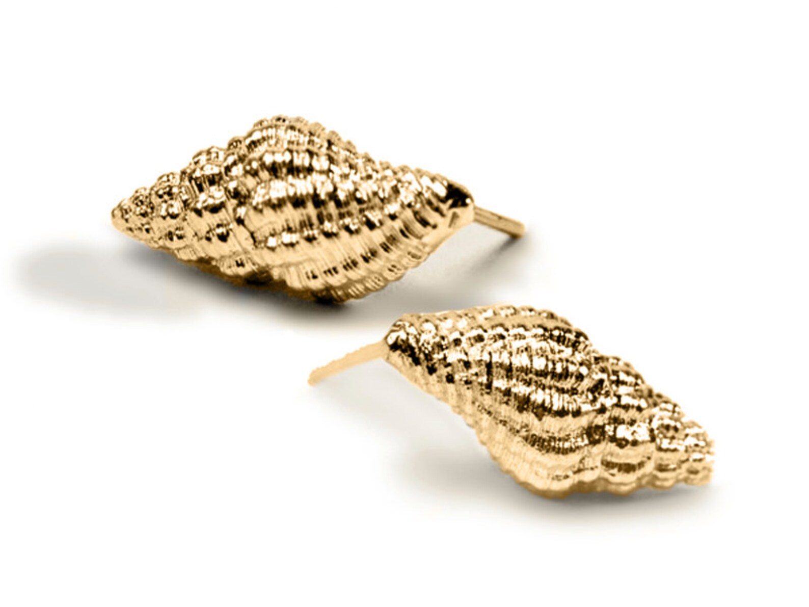 Shell Earrings 14 K Gold Sea Shell Earrings Nautical - Etsy