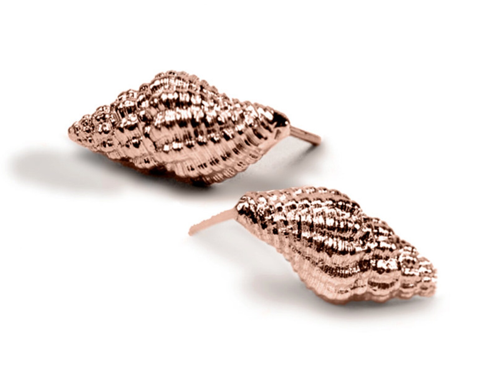 Shell Earrings 14 K Gold Sea Shell Earrings Nautical - Etsy