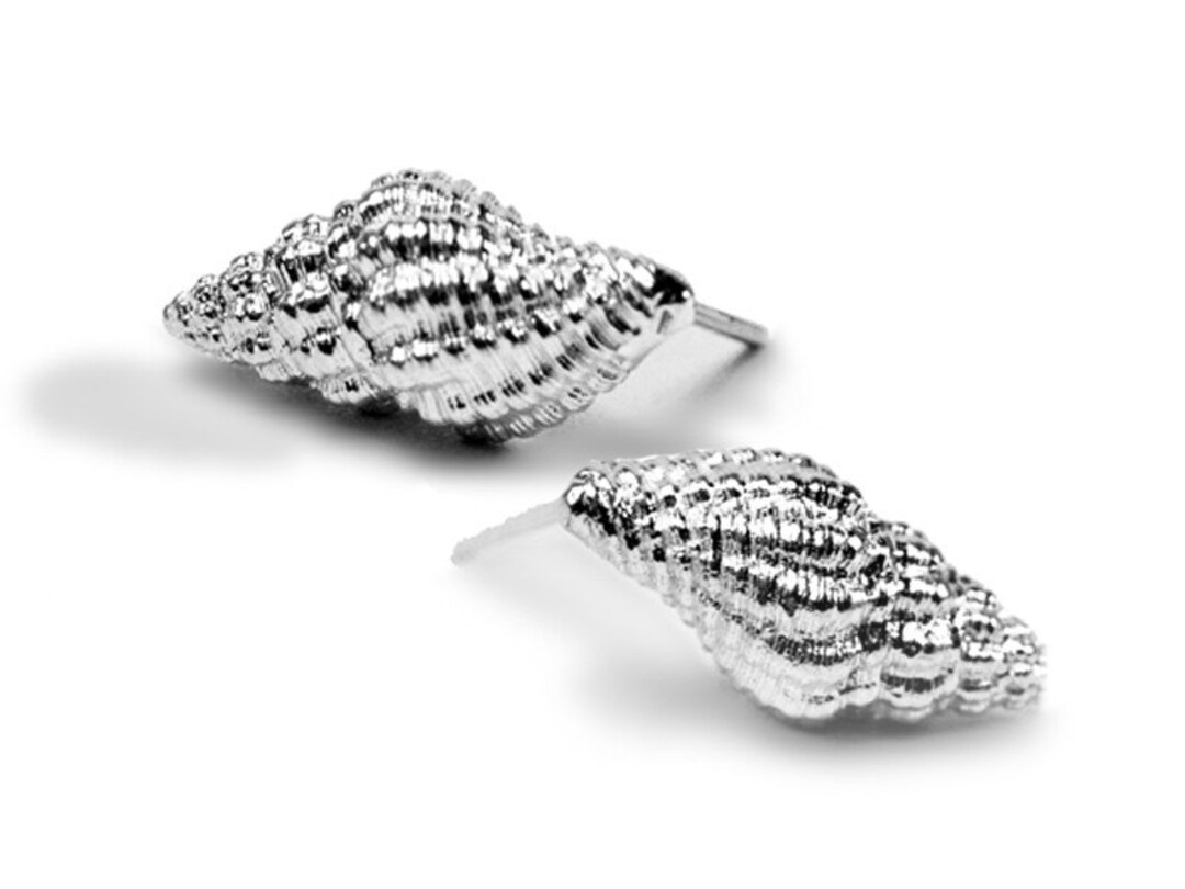Shell Earrings, Unique Shell Silver Stud Earrings, Post Mollusk Earring ...
