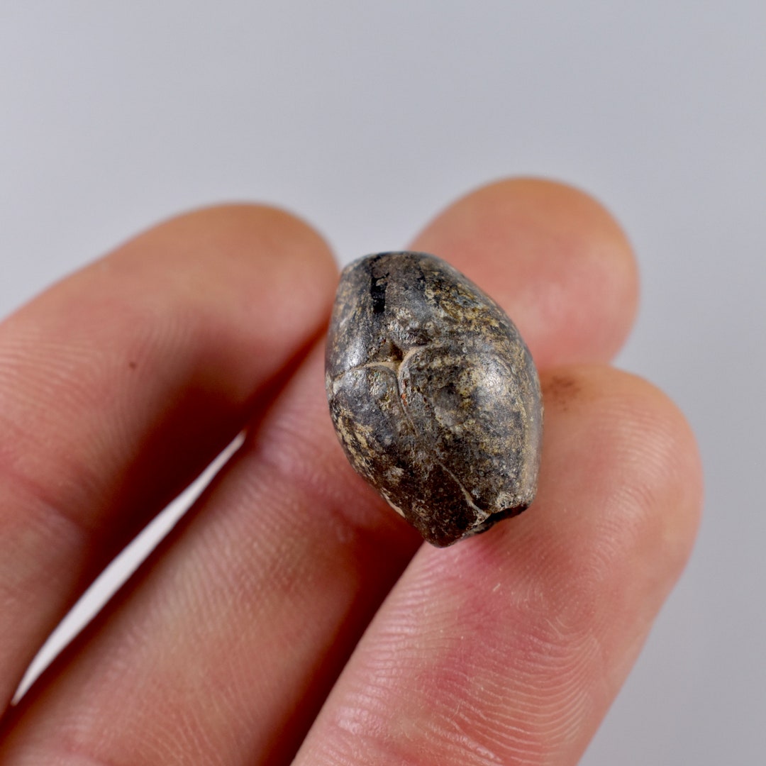 Beautiful Rare Folded Glass Ancient Indus Valley Bead up Tp 4,000 Years ...