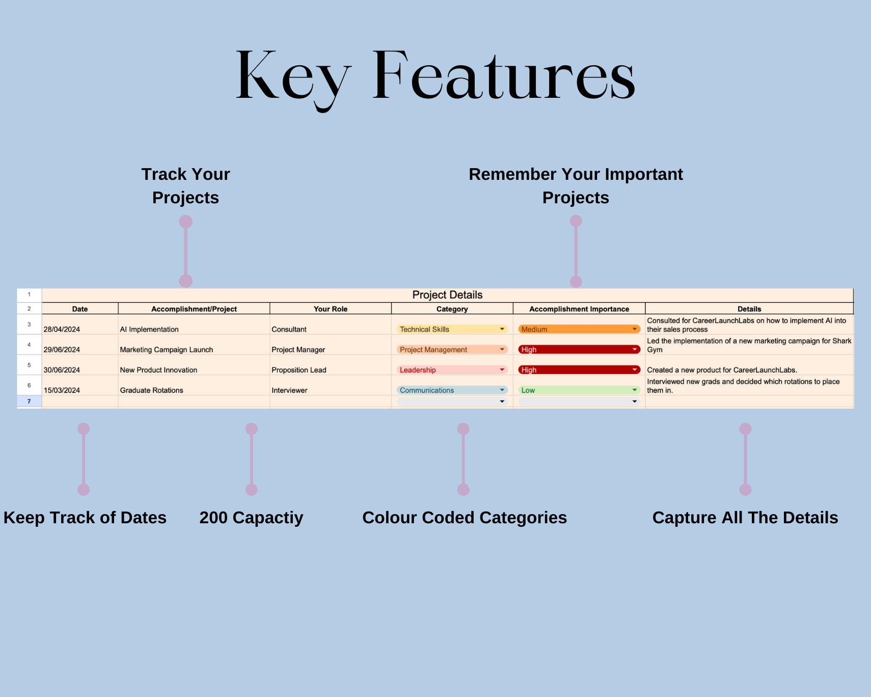 Career Accomplishment Tracker, Google Sheets Template, 2024, Instant ...