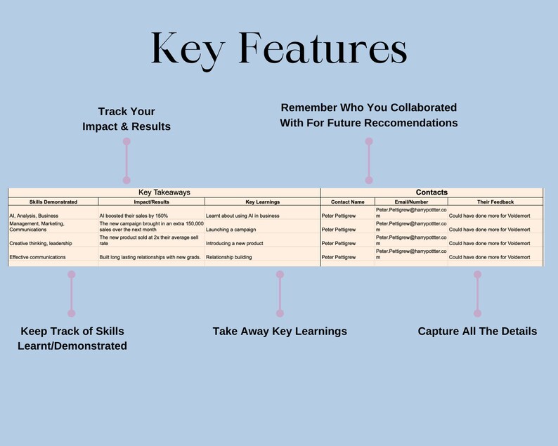 Career Accomplishment Tracker, Google Sheets Template, 2024, Instant ...