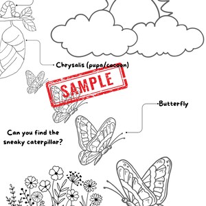 Garden Critter Educational Printables Set of 5 Activity Sheets for Kids ...