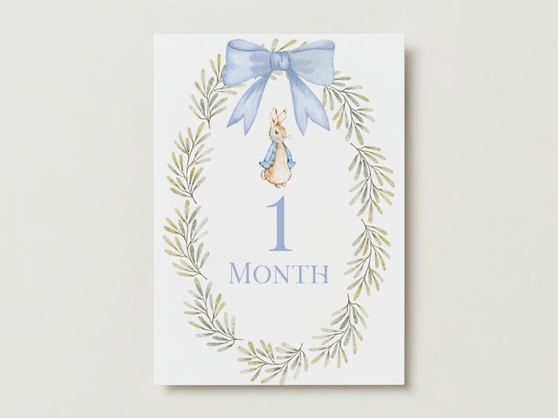Peter Rabbit Baby Milestone Cards,peter Rabbit Digital Prints,woodland ...