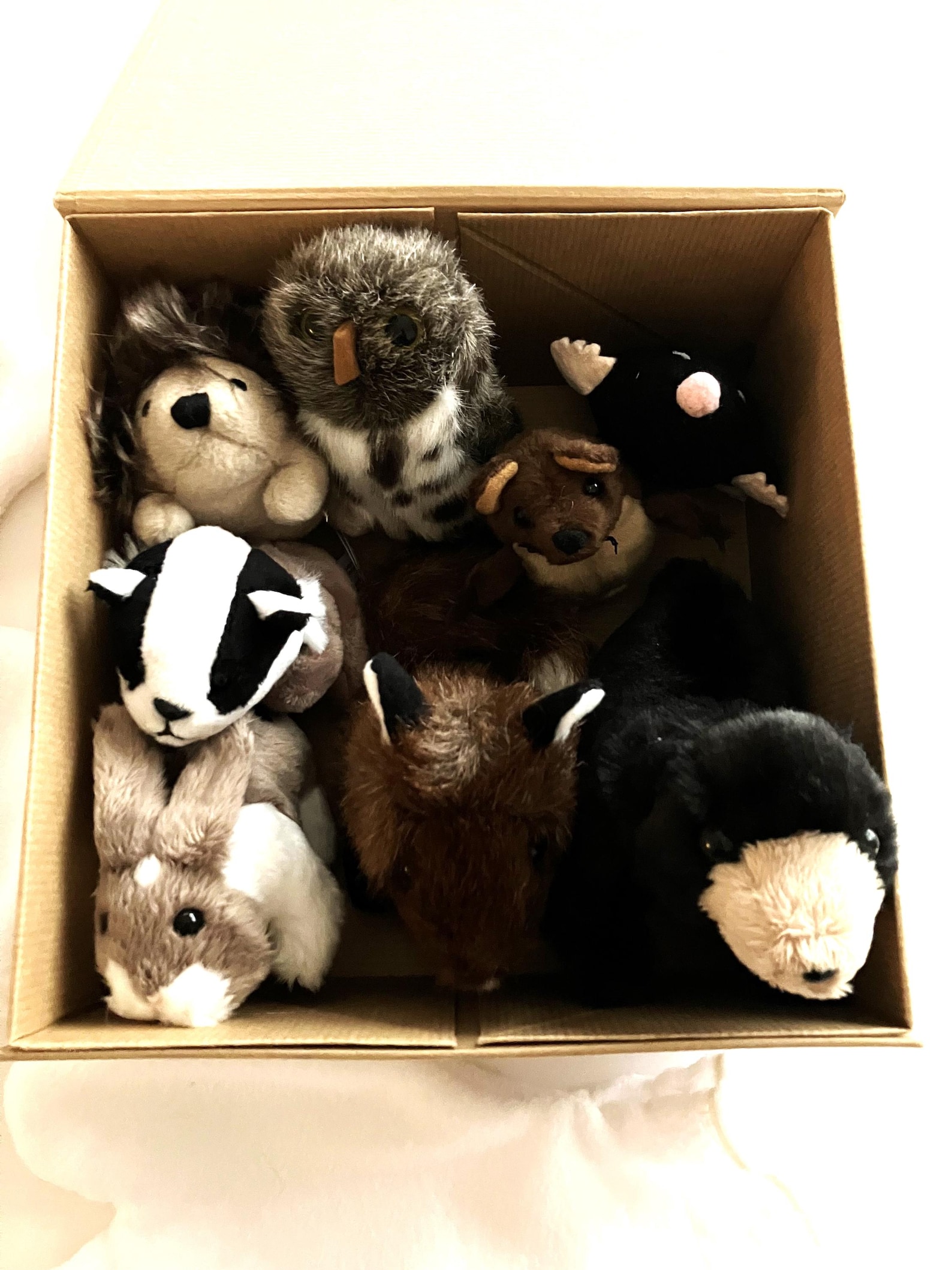 The Mitten Finger Puppet Gift Boxed Set Snow White Mittens & 8 Finger ...