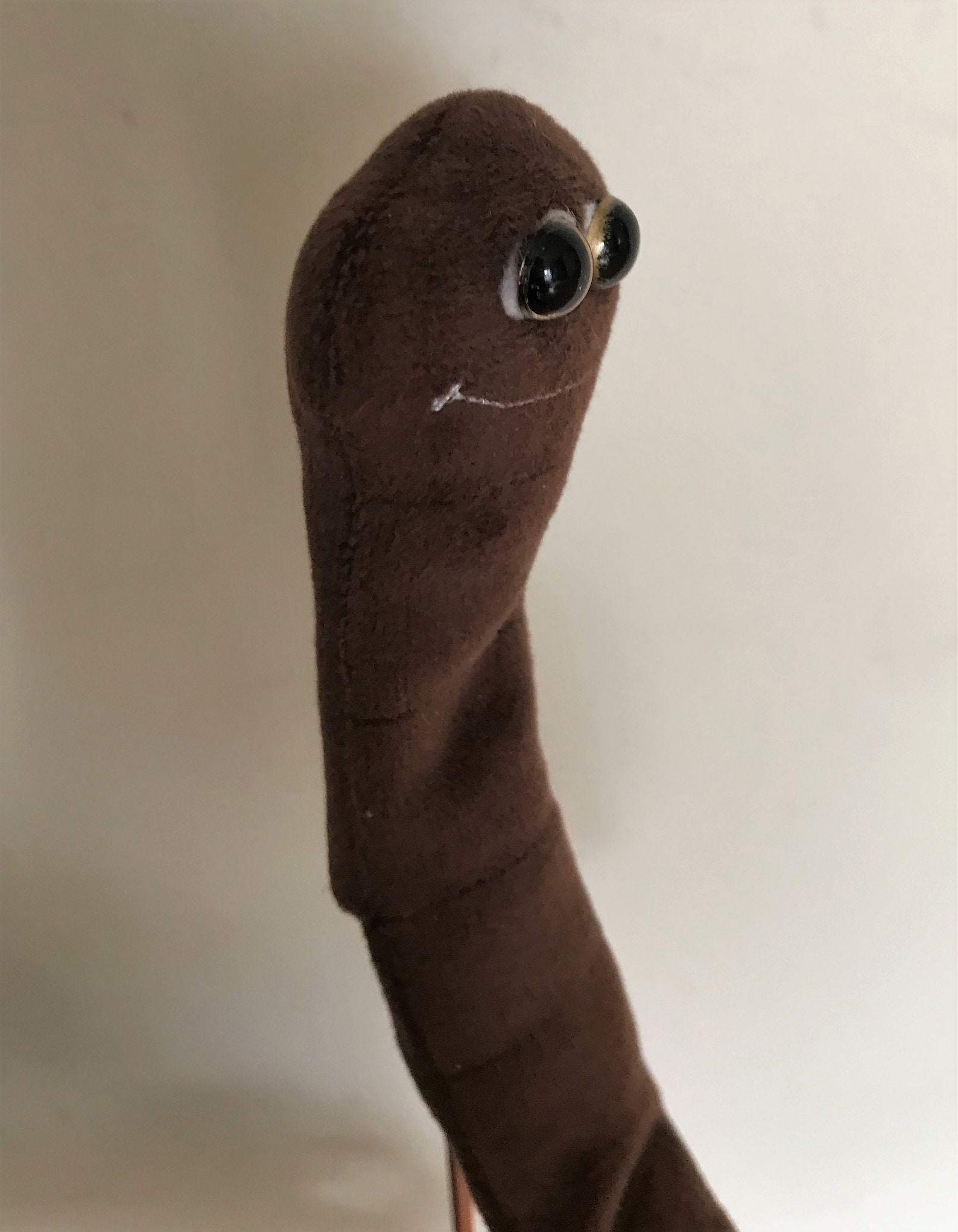 Worm Finger Puppet - Etsy