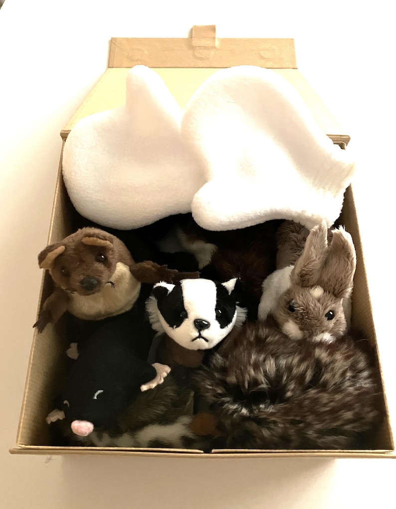The Mitten Finger Puppet Gift Boxed Set Snow White Mittens & 8 Finger ...