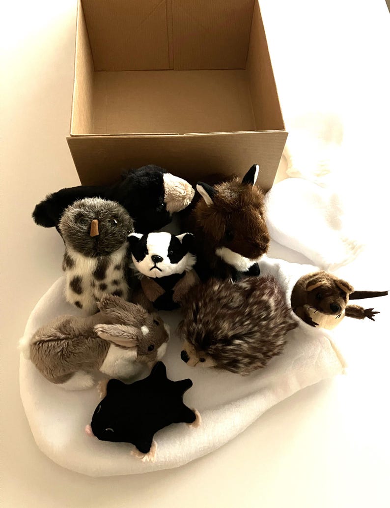 The Mitten Finger Puppet Gift Boxed Set Snow White Mittens & 8 Finger ...