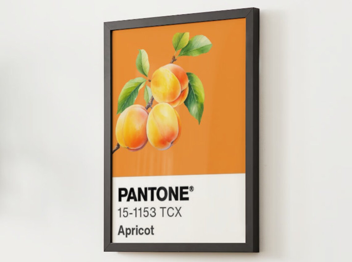 Apricot Pantone Color Design | Apricot Pantone Color | Pantone Art ...