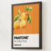Apricot Pantone Color Design | Apricot Pantone Color | Pantone Art ...