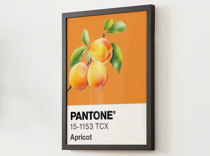 Apricot Pantone Color Design | Apricot Pantone Color | Pantone Art ...