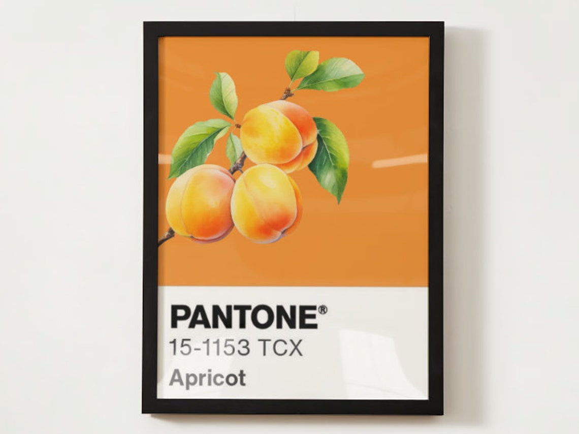 Apricot Pantone Color Design | Apricot Pantone Color | Pantone Art ...