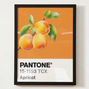 Apricot Pantone Color Design | Apricot Pantone Color | Pantone Art ...