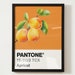 Apricot Pantone Color Design | Apricot Pantone Color | Pantone Art ...
