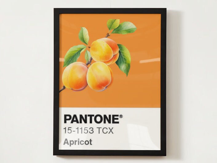 Apricot Pantone Color Design | Apricot Pantone Color | Pantone Art ...