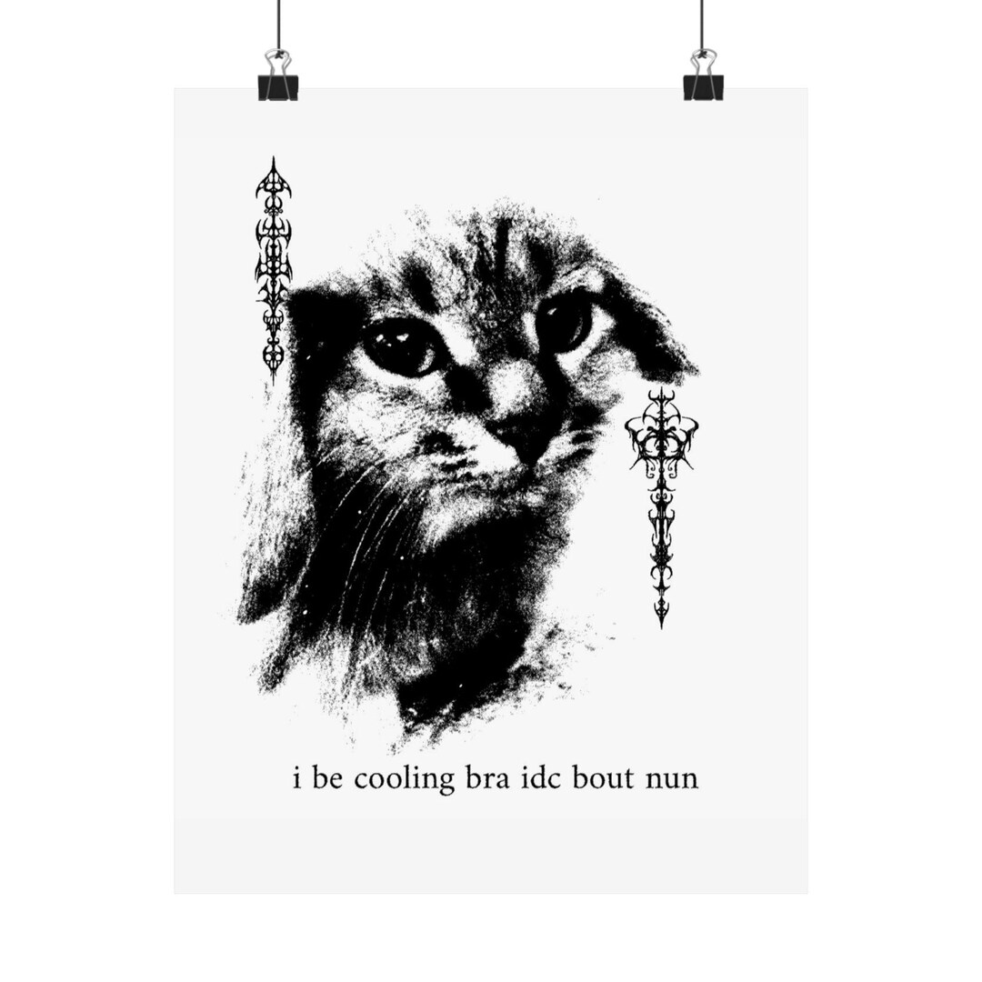 Y2K Meme Cat Poster - Etsy