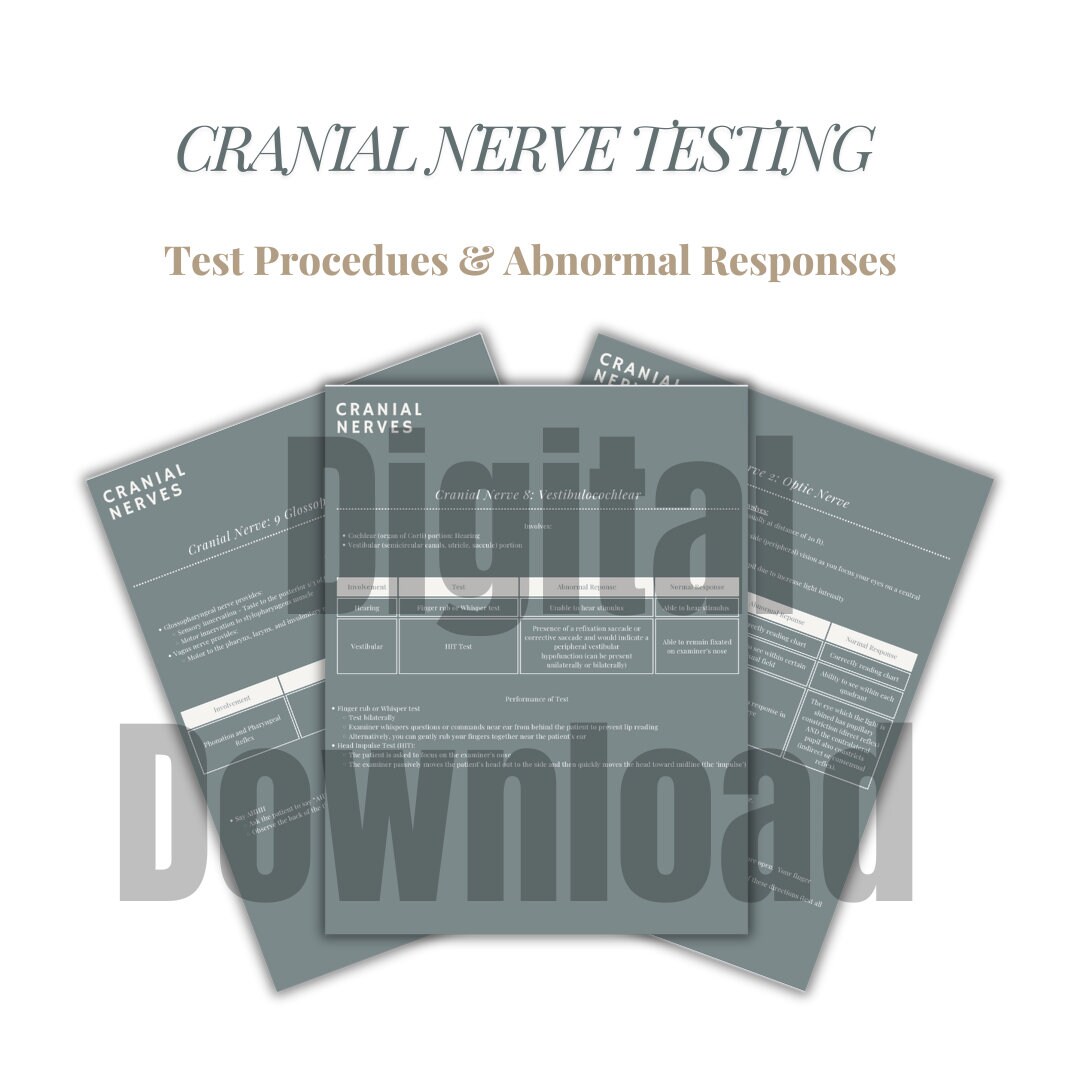 Cranial Nerve Testing PT School Cheat Sheet - Etsy
