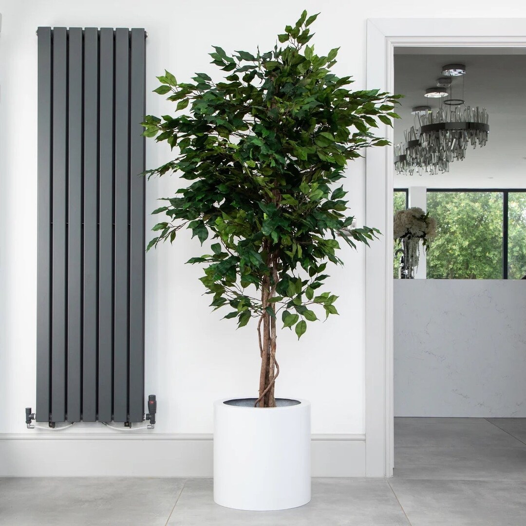 Artificial Indoor Ficus Tree in White GRP Planter - Etsy