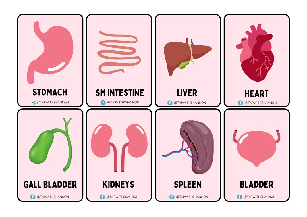 EFT Tapping Meridian Match-up Cards Printable PDF Download L ...