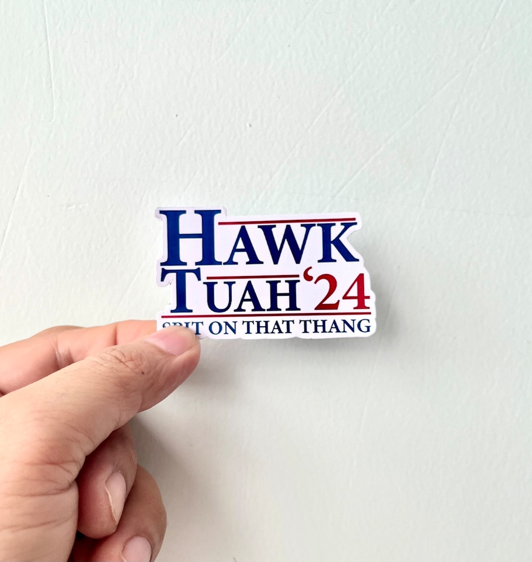 Hawk Tuah Car Decal, Hawk Tuah, Car Decal, Spit on That Thang - Etsy